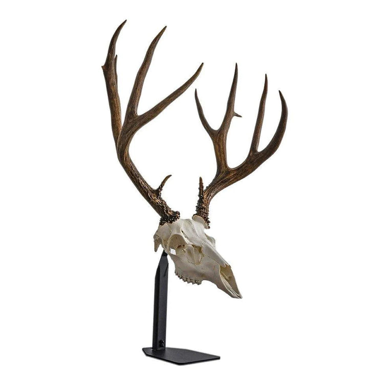 Dead On Display Desktop European Skull Mount Bracket | Shop at GOHUNT